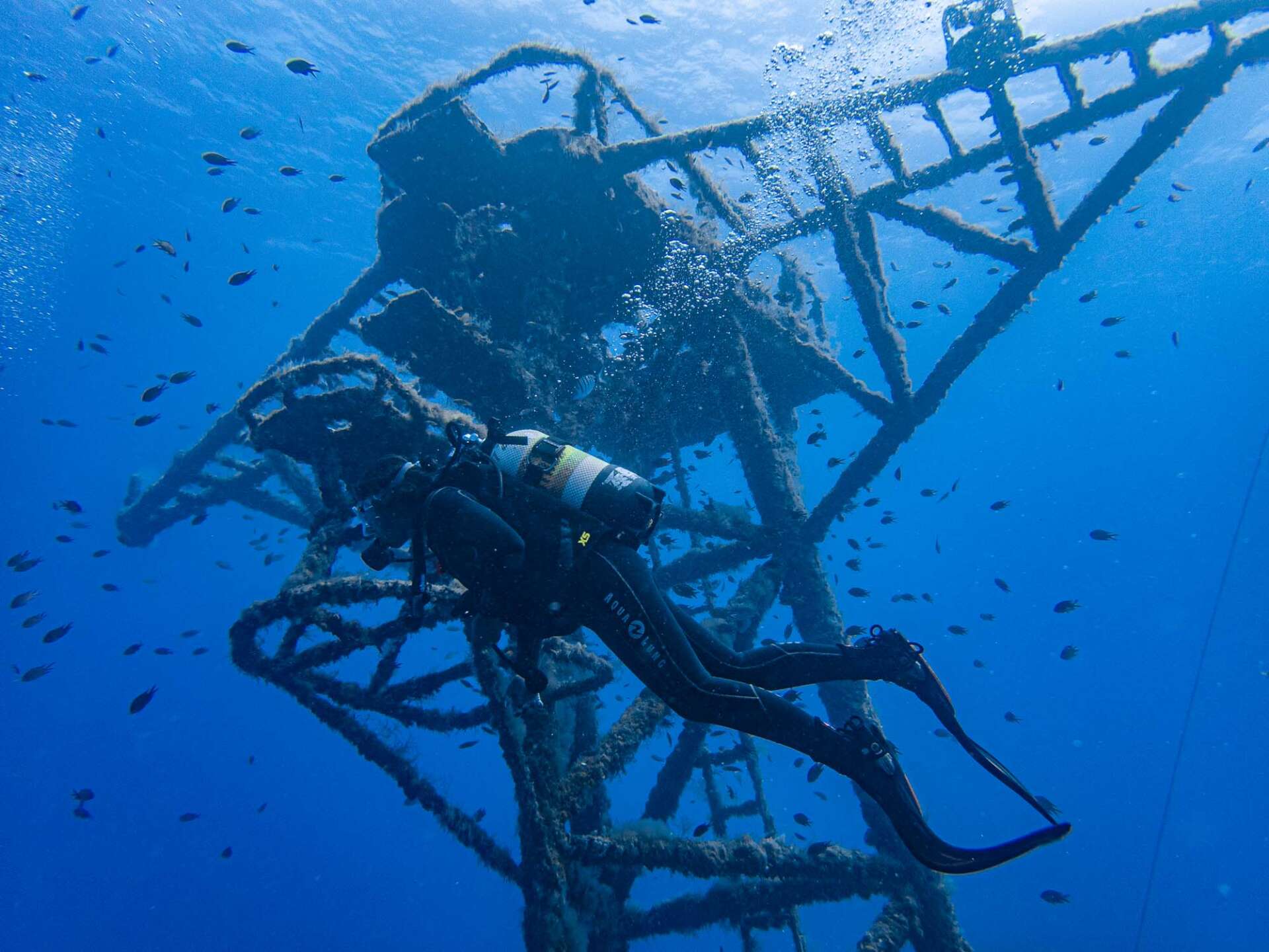 Best wrecks for scuba diving in Madeira and Porto Santo