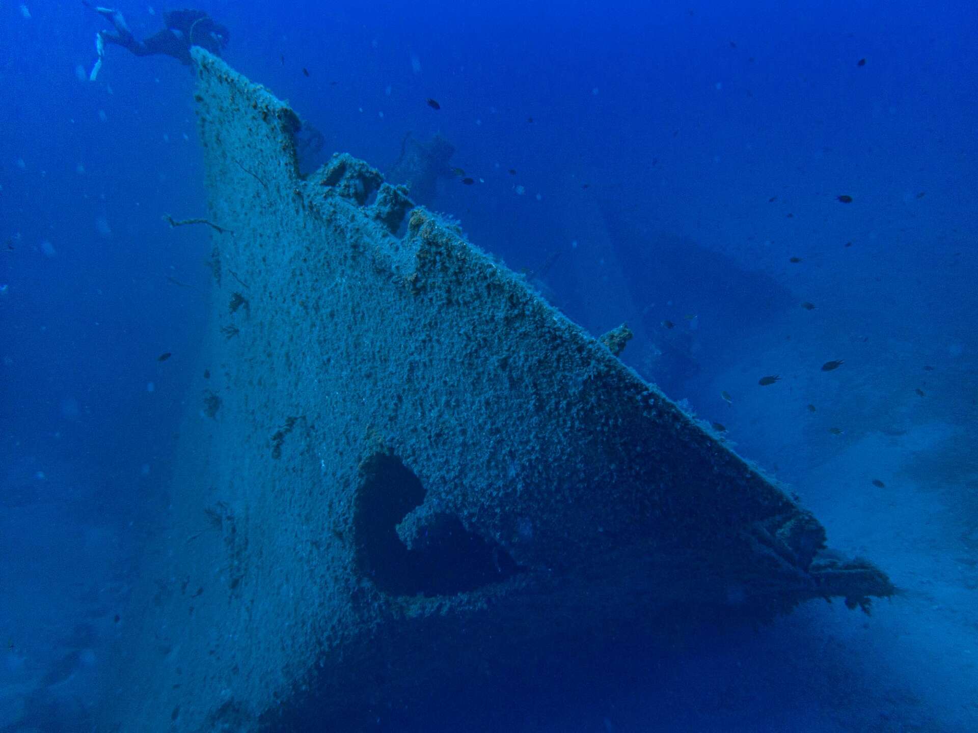 Best wrecks for scuba diving in Madeira and Porto Santo